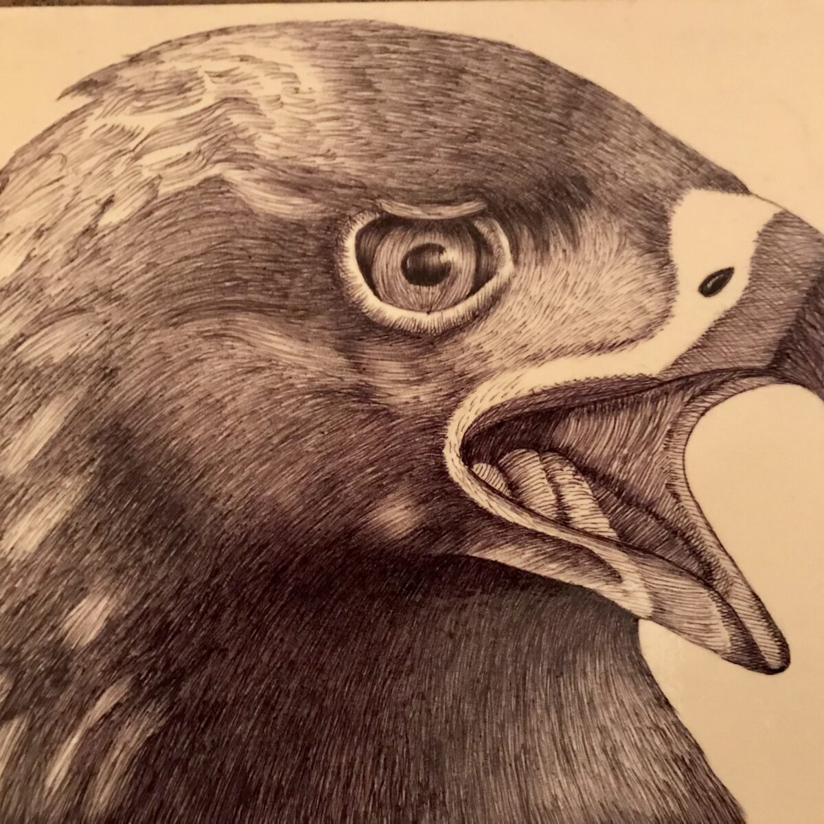 People Most Proximate: Our Creativity : NC Coalition for Alternatives ...